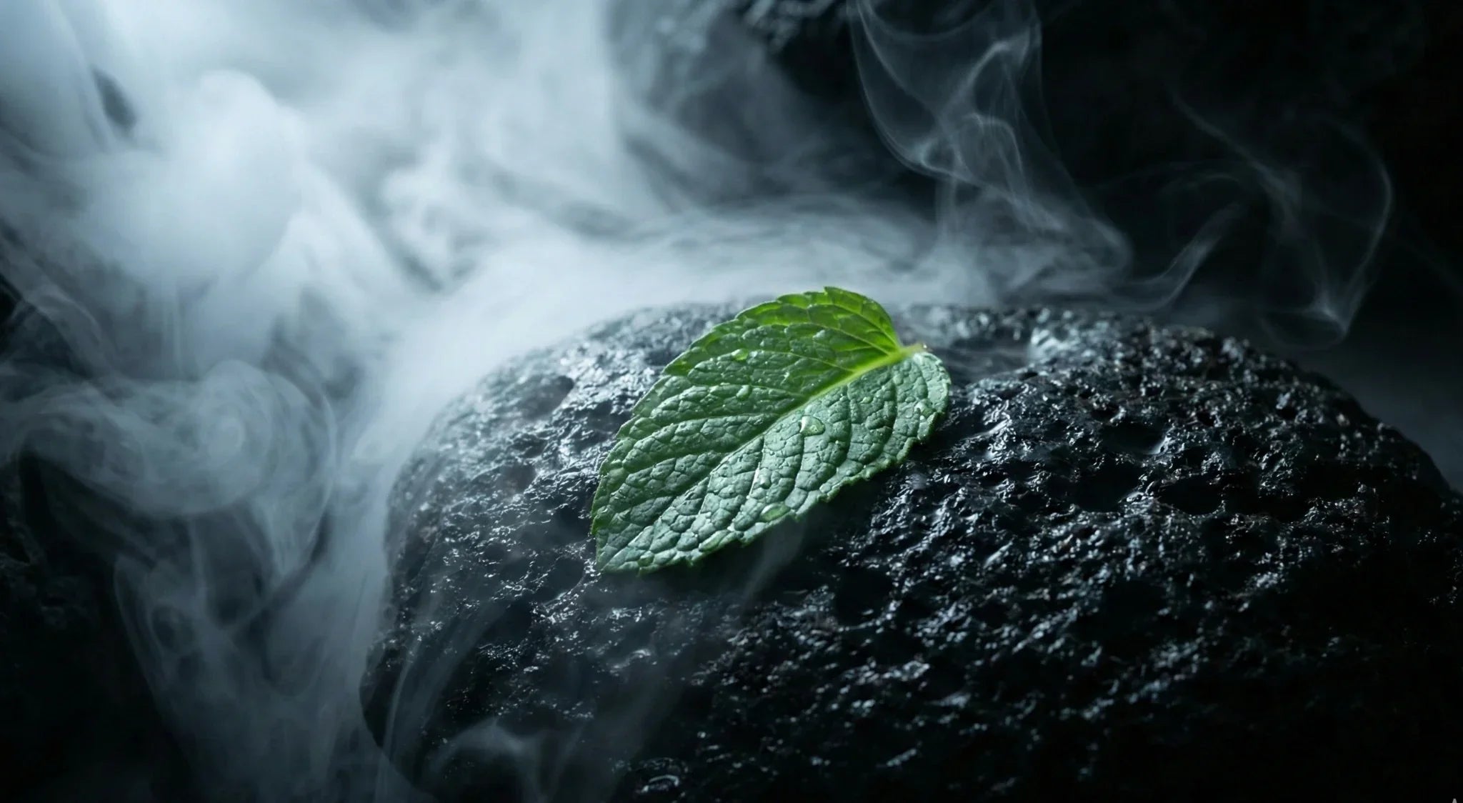 How to Actually Address the causes of bad breath: What Works (and What